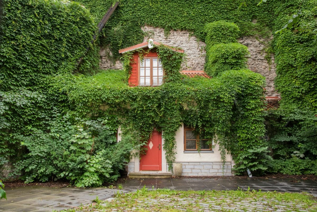 How a Property’s EPC (DPE) Rating Impacts Your French Mortgage ...